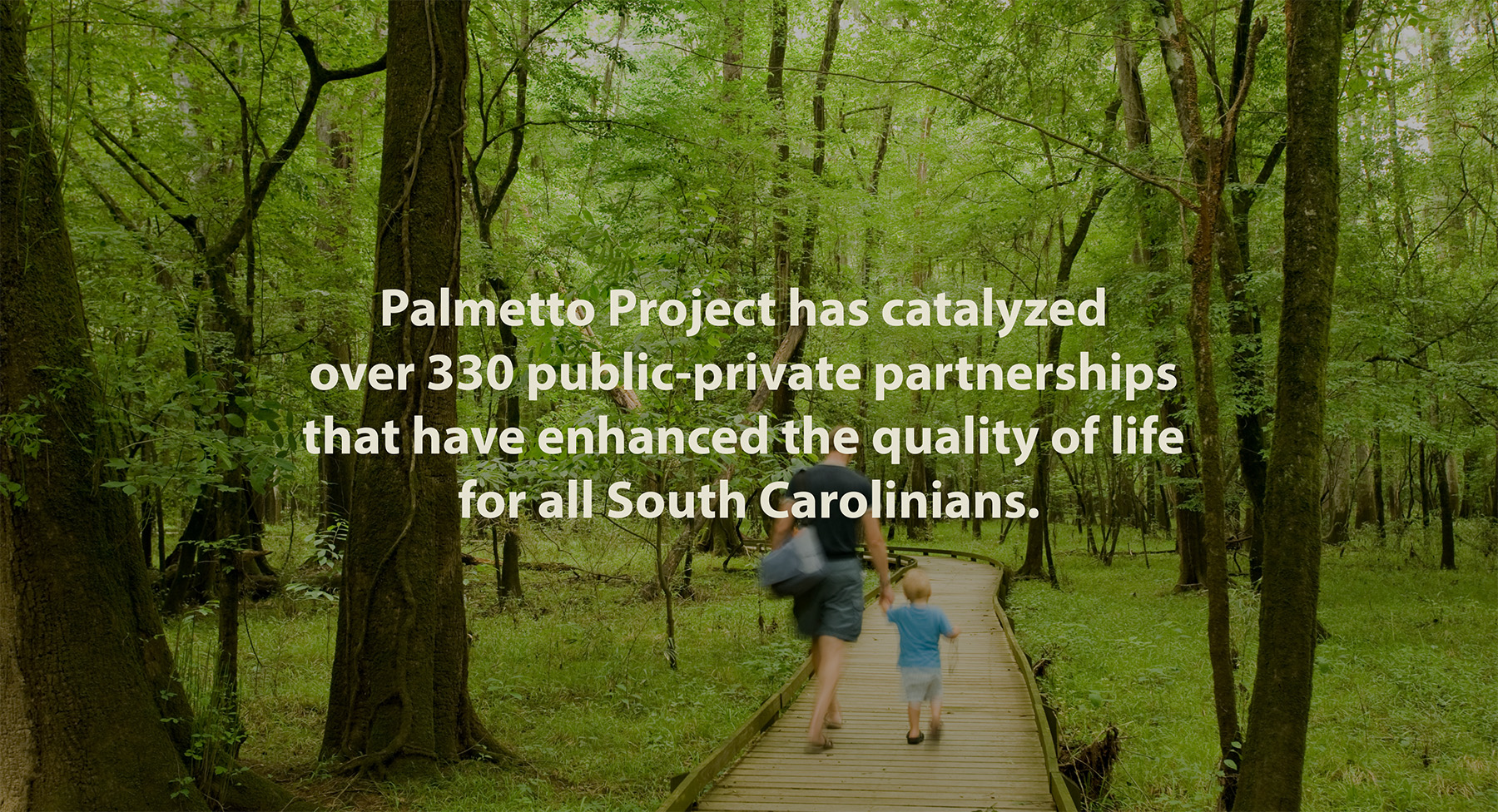 Home - Palmetto Project