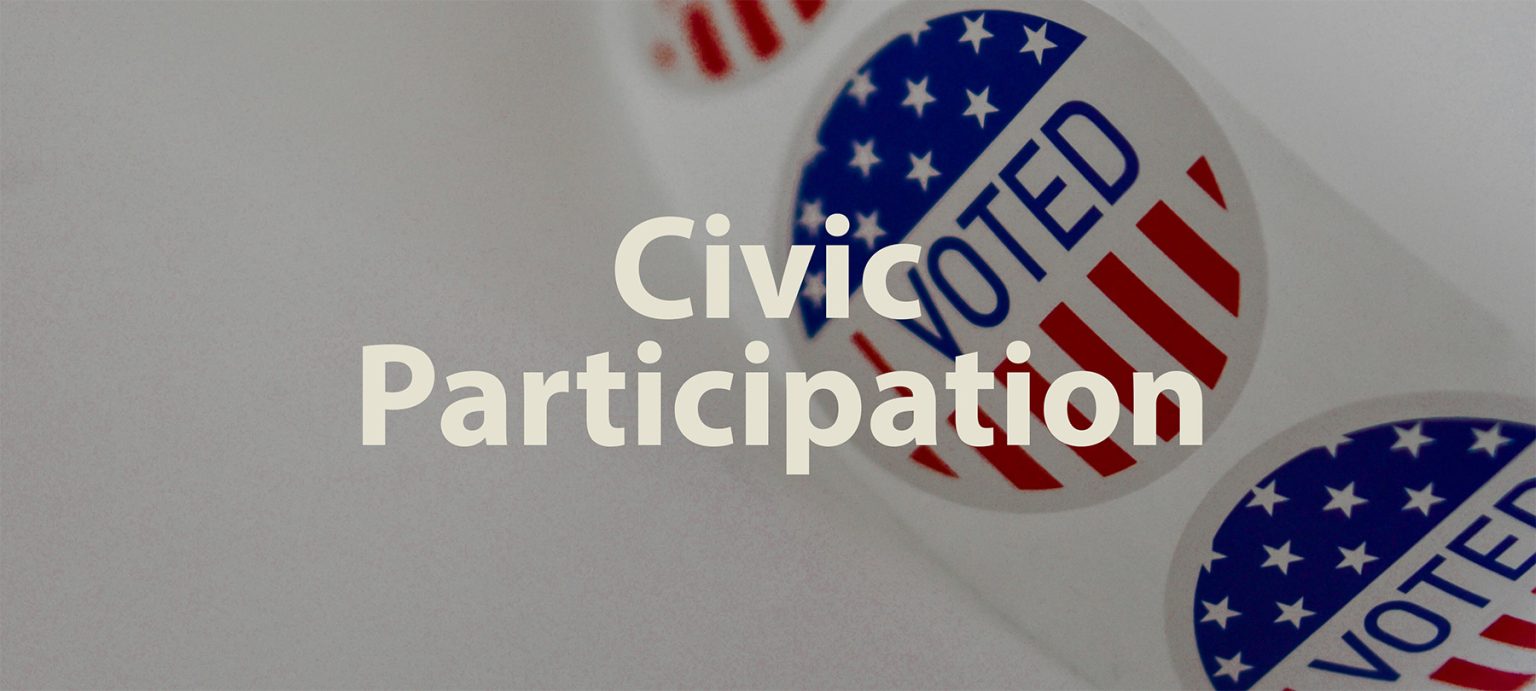 Civic Participation - Palmetto Project