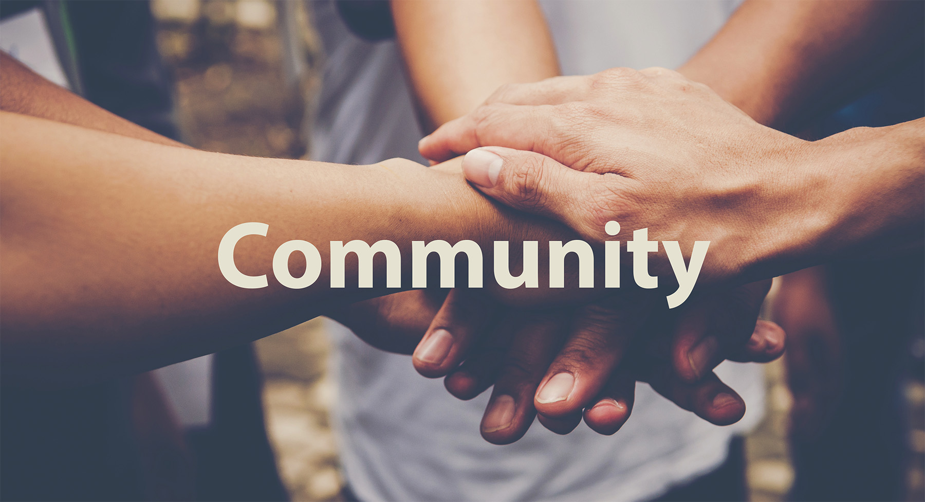 Home - Palmetto Project